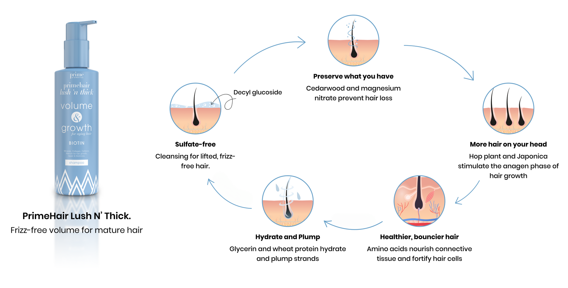 PrimeHair Lush N' Thick | PrimePrometics™